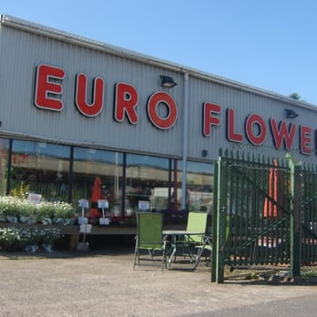 Flower Store in Mississauga | Fresh Bouquets & Gifts – Euro Flowers