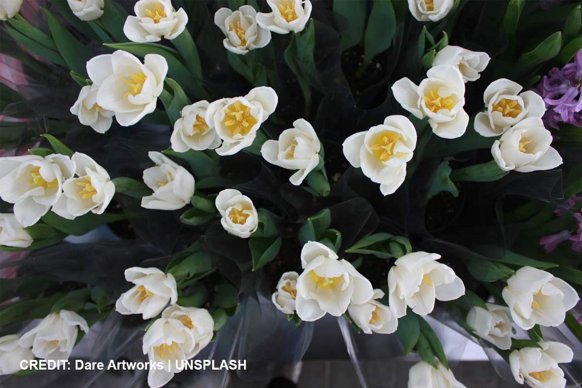 7 Perfect Birthday Flowers for March Celebrants at Every Age – Euro Flowers