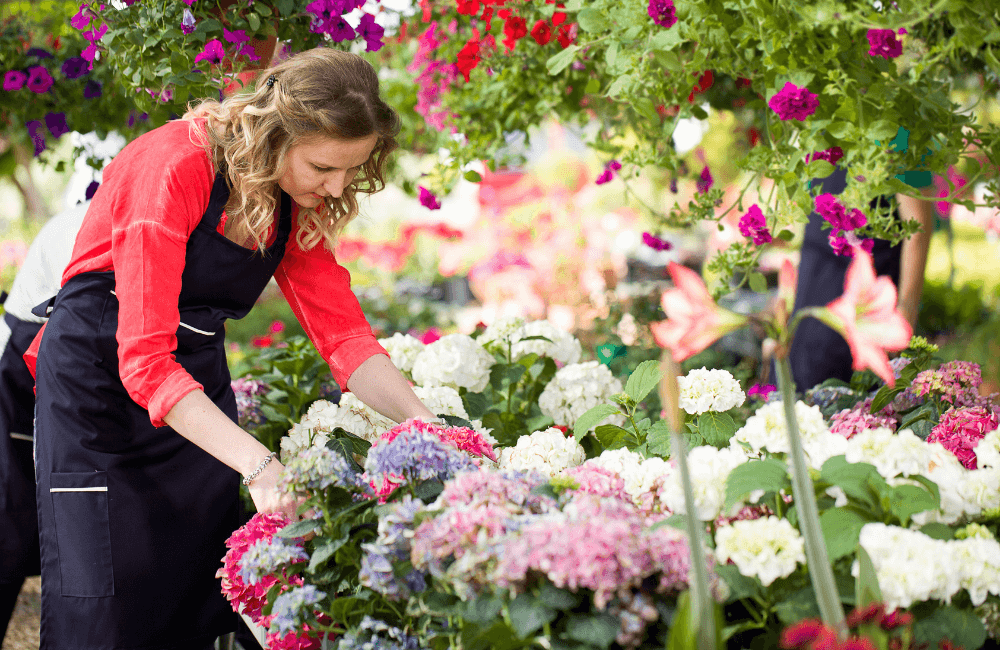 Mississauga’s Best Seasonal Flowers: Month-by-Month Guide – Euro Flowers
