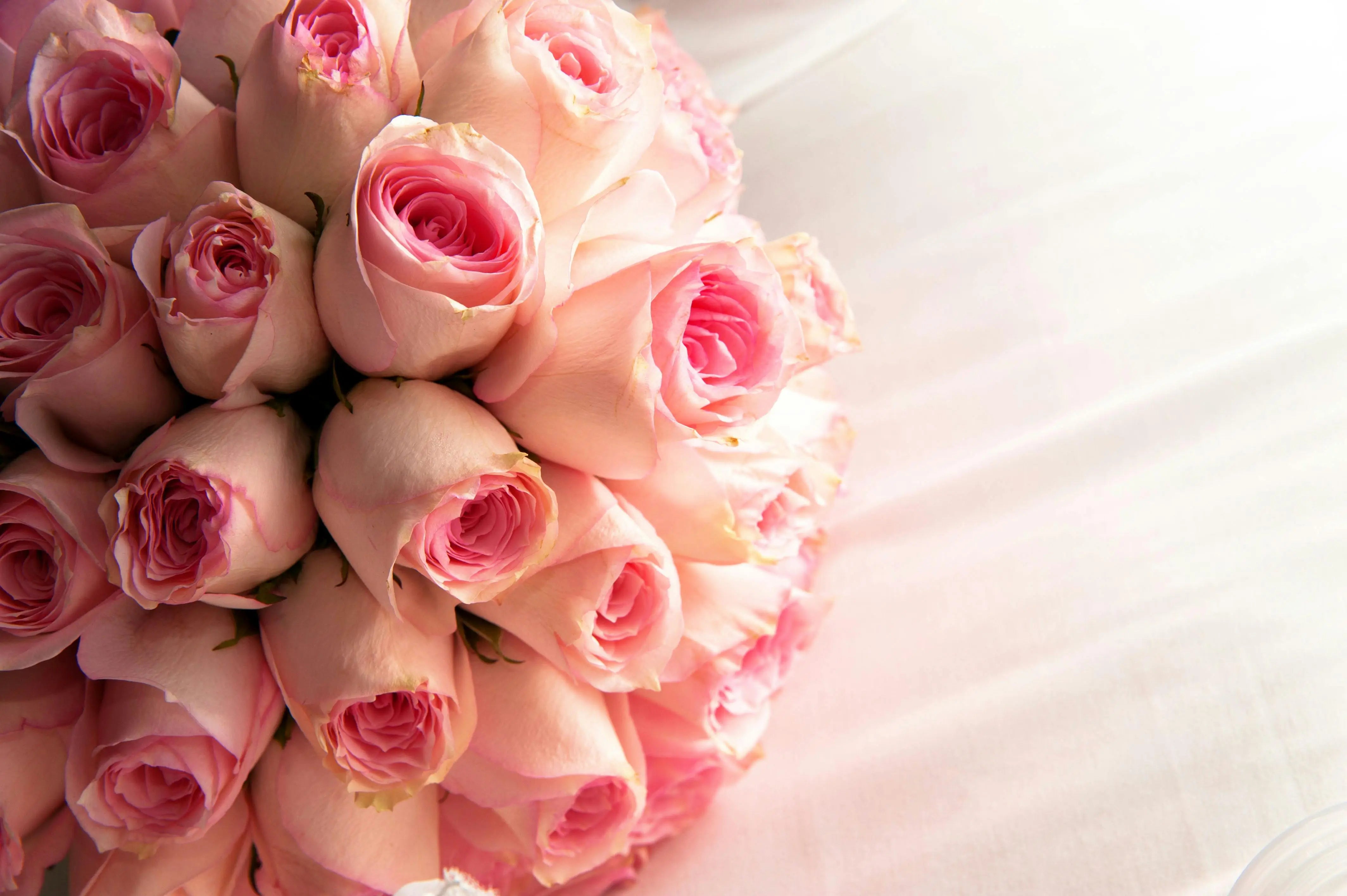 Your Guide to Anniversary Flowers: Meanings by Year & Color – Euro Flowers