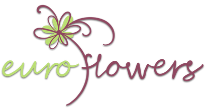 Euro Flowers: Trusted Mississauga Florist & Same-Day Delivery