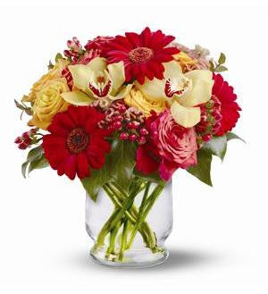 Orchid Orchard Flower Arrangement – Euro Flowers